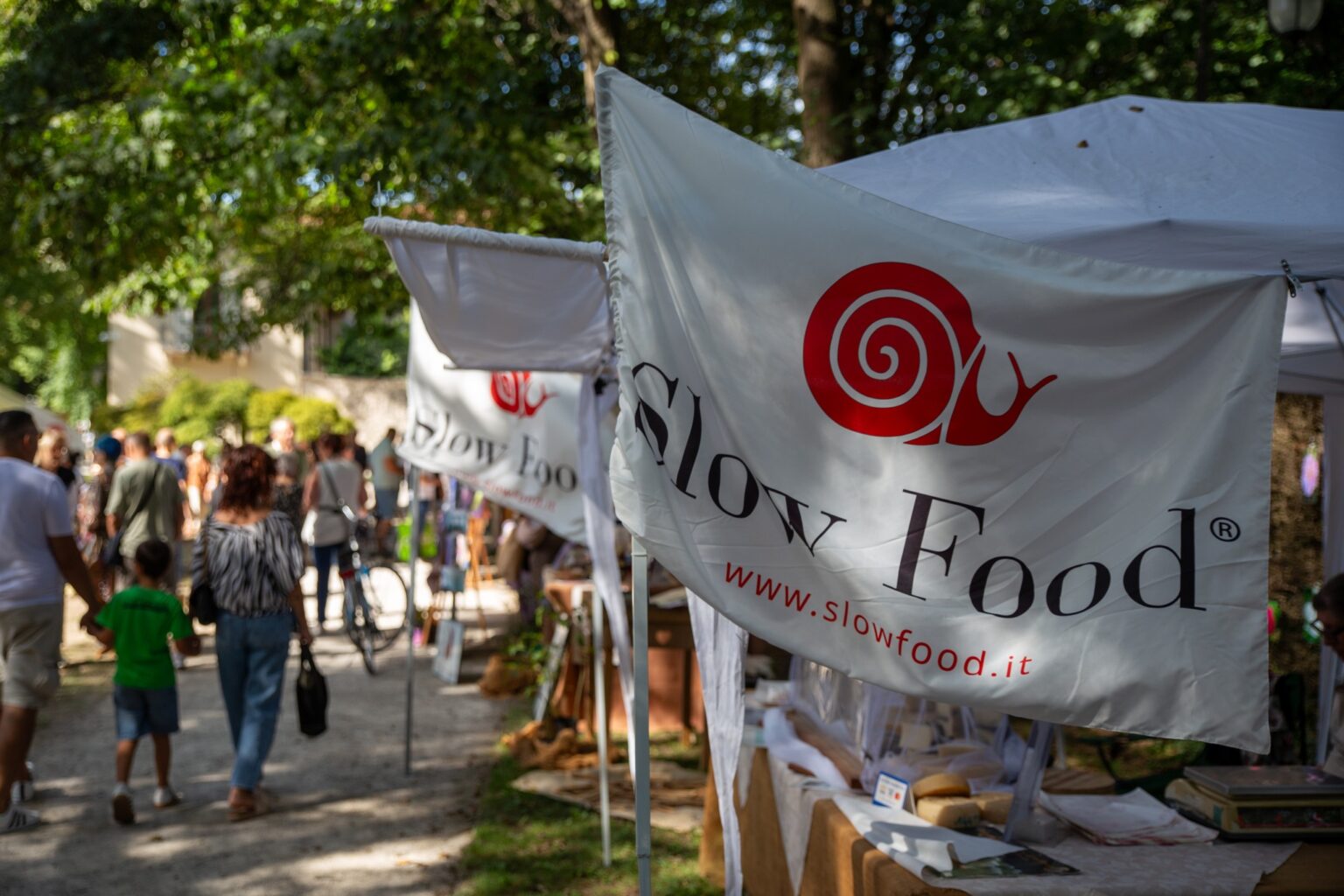 Slow Rice, la rete del riso di Slow Food: nasce a Novara e nelle terre ...